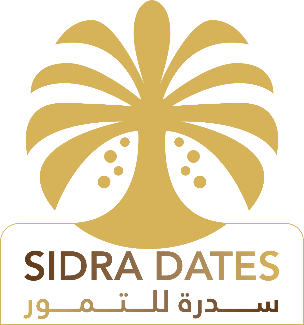 Contact Us – Sedra Dates